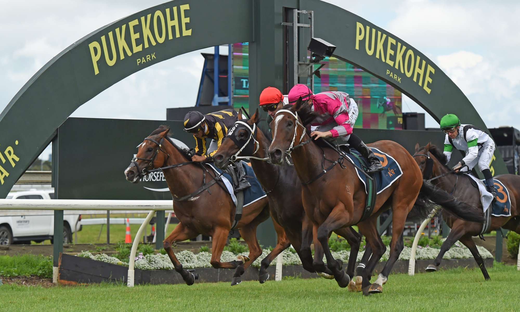 Pukekohe Park | Auckland Thoroughbred Racing