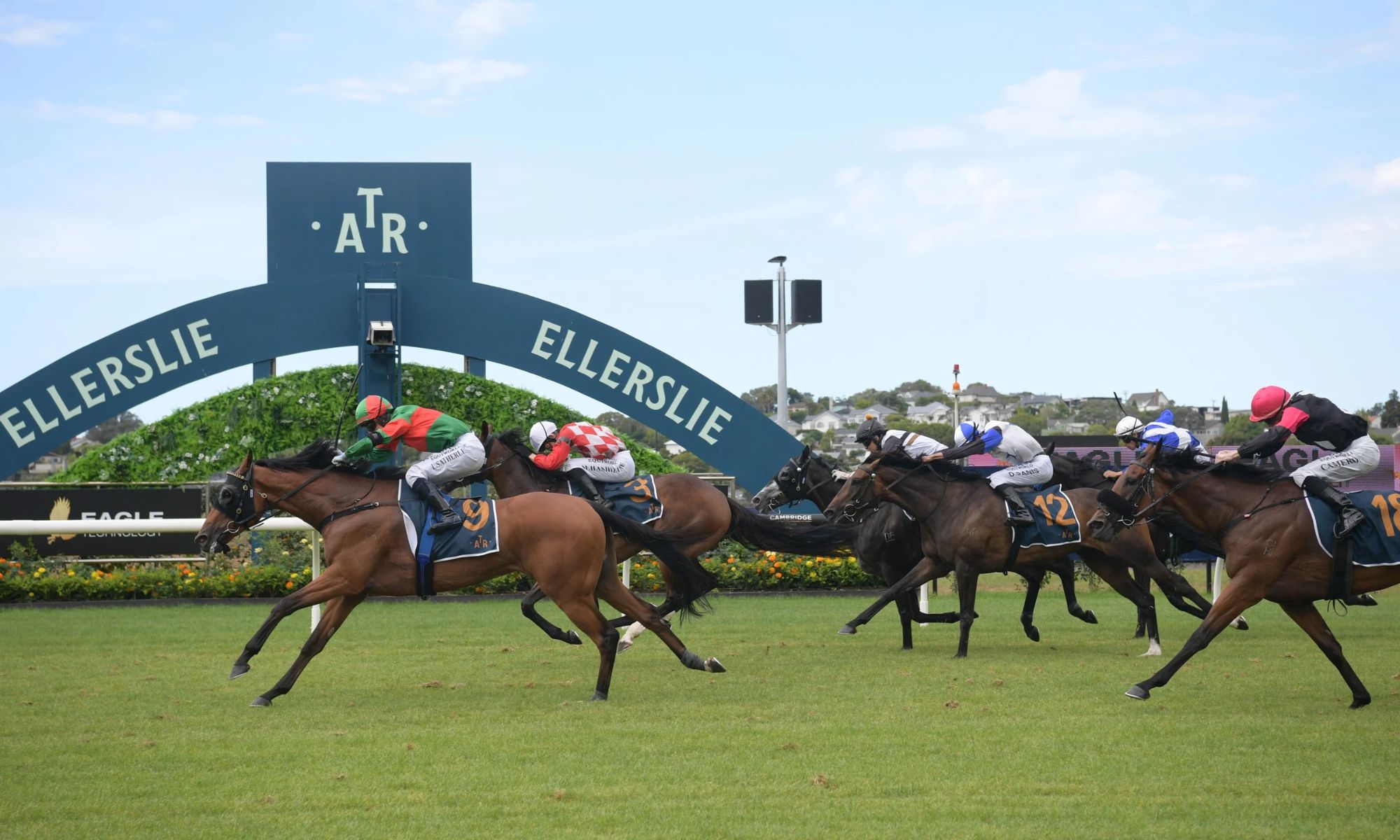 Auckland Thoroughbred Racing | Ellerslie & Pukekohe Park