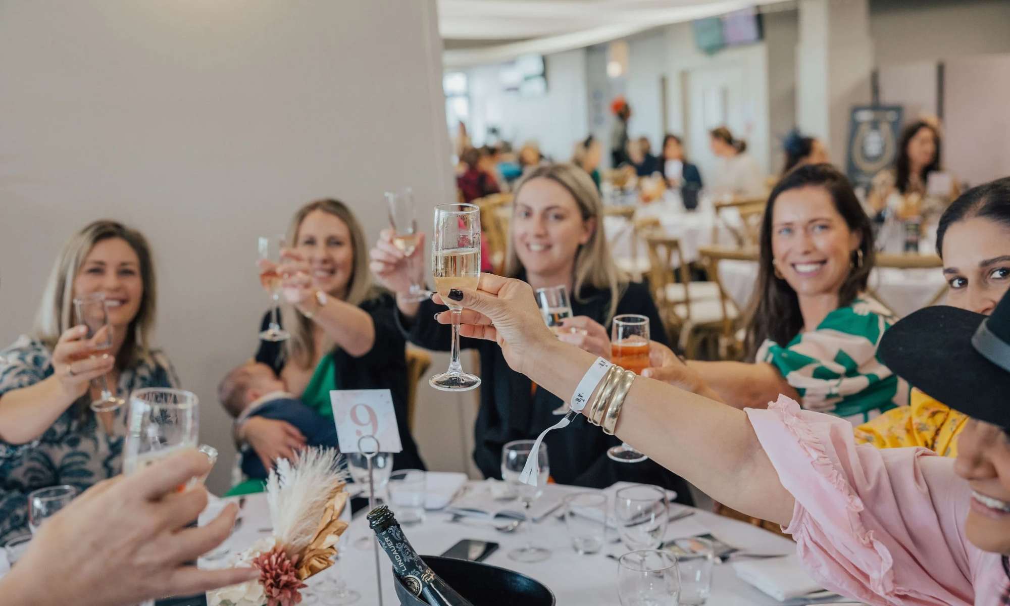 Pukekohe Park | Auckland Thoroughbred Racing