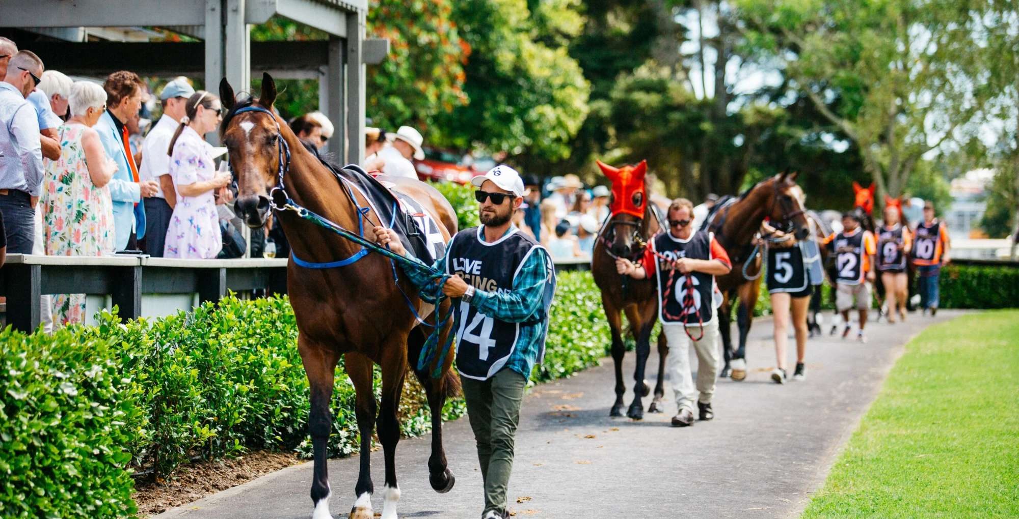 Pukekohe Park | Racecourse, Training & Event Venue, Auckland