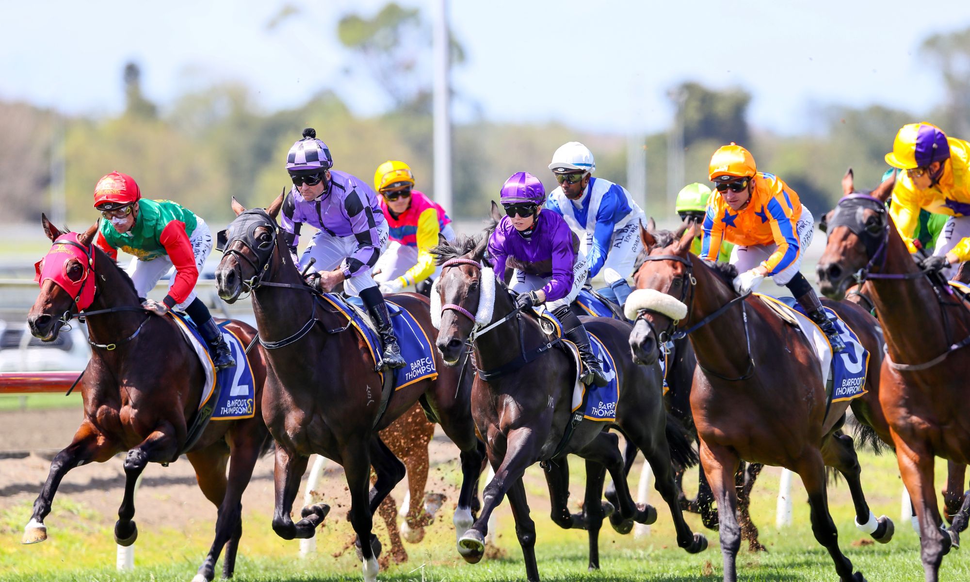 Pukekohe Park | Auckland Thoroughbred Racing
