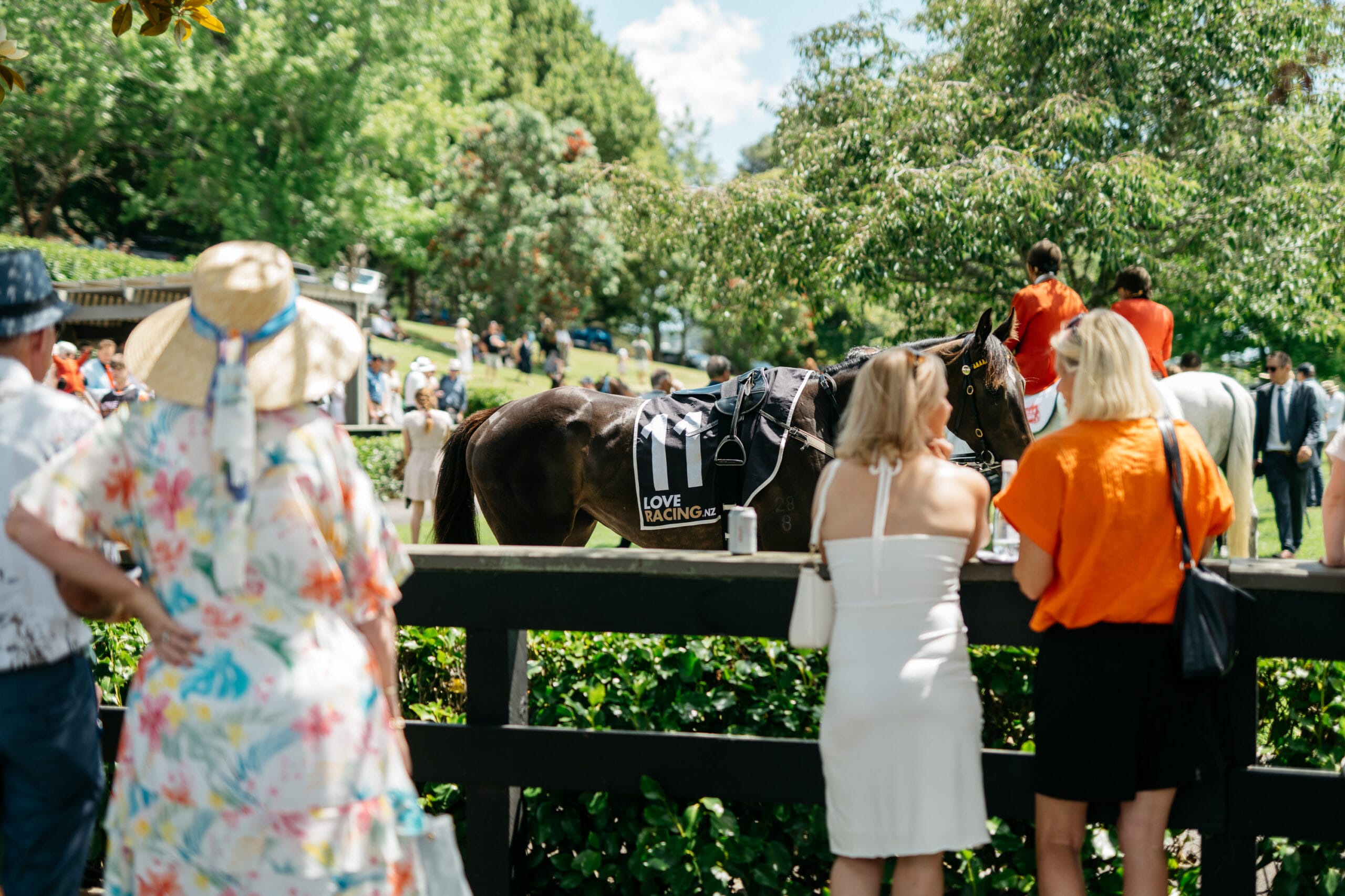 Ellerslie Live Weather Track Conditions Auckland Thoroughbred Racing