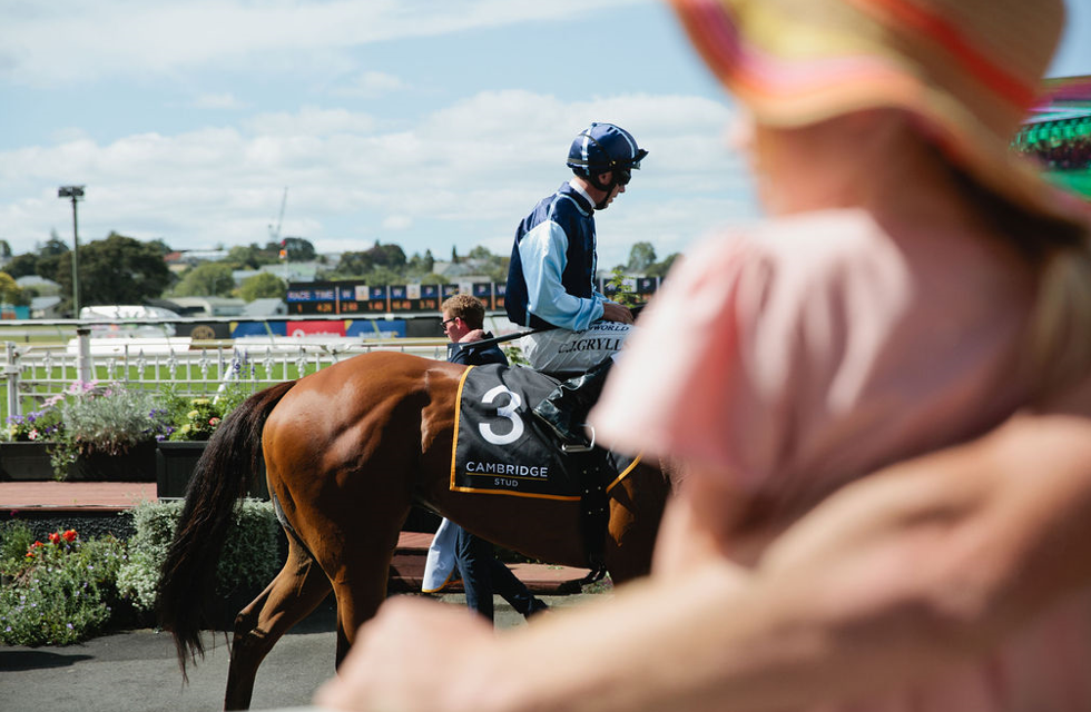 Summer Raceday | 1 February 2025 - Info, Tickets & More