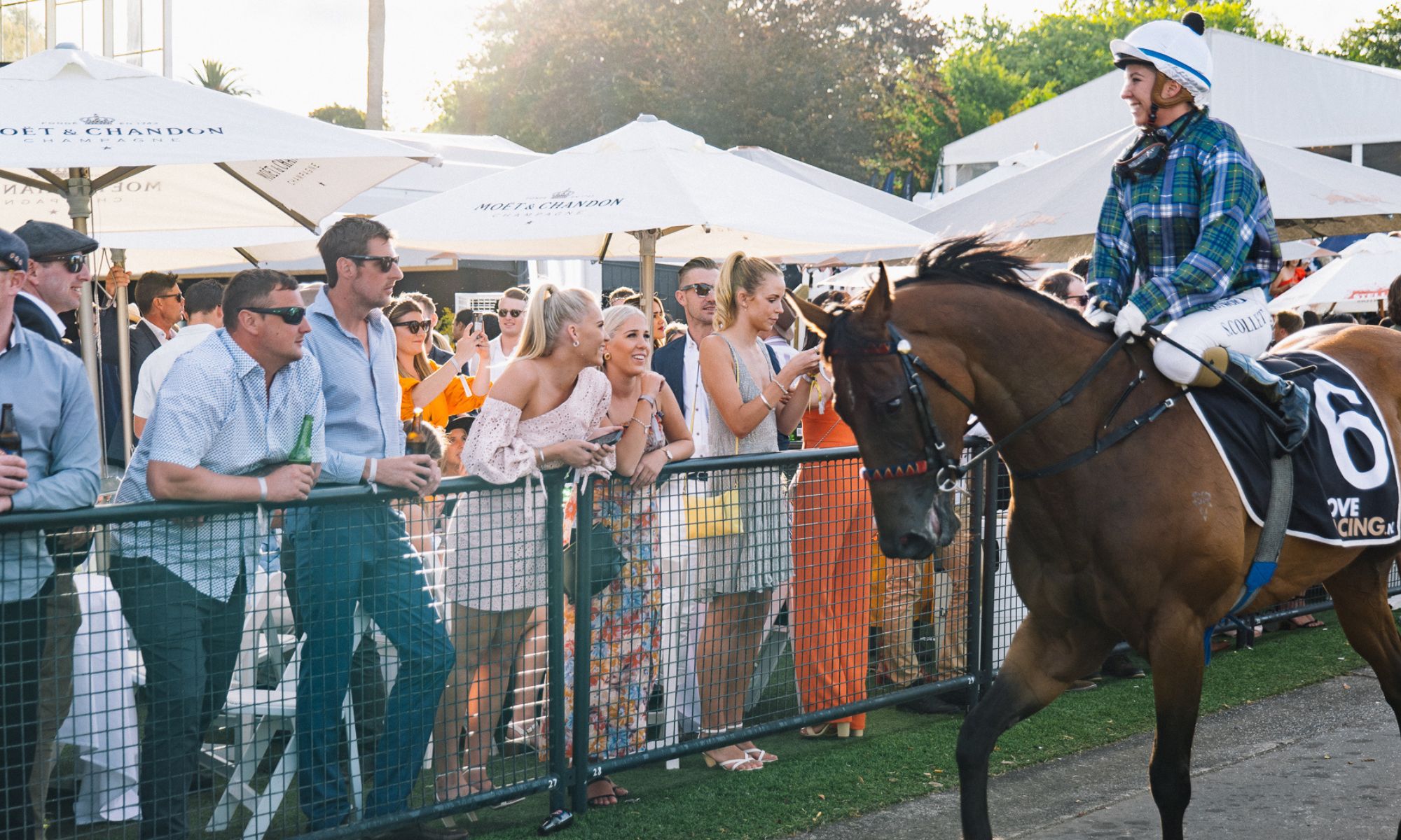 Ellerslie | Auckland Thoroughbred Racing