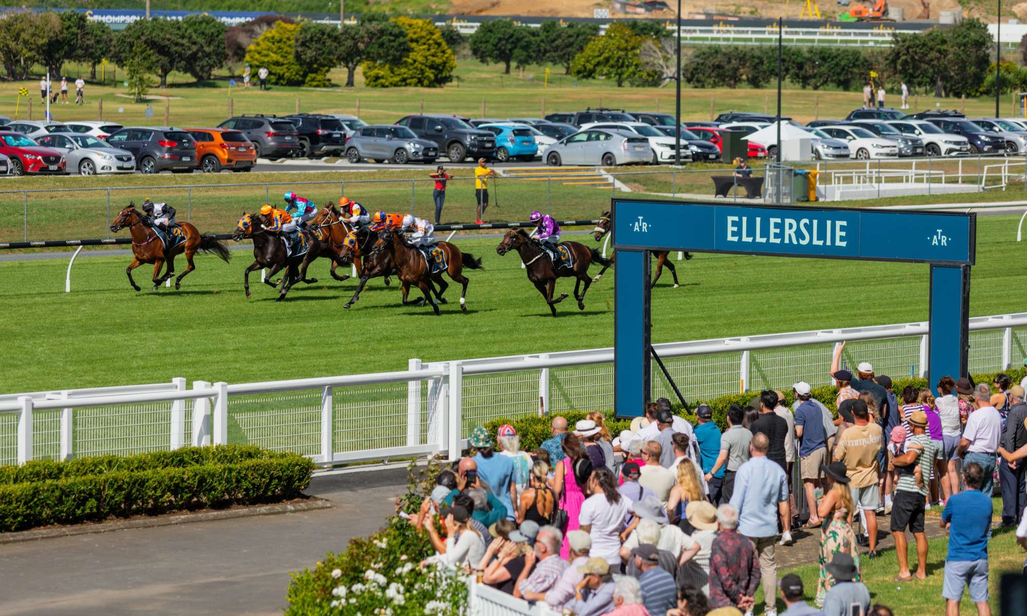 Ellerslie | Auckland Thoroughbred Racing