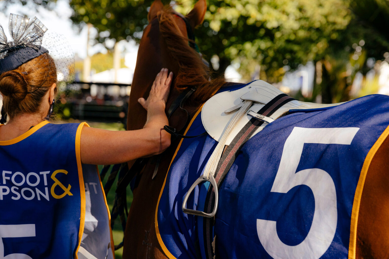 ANNOUNCEMENT | For the love of the horse | Auckland Thoroughbred Racing
