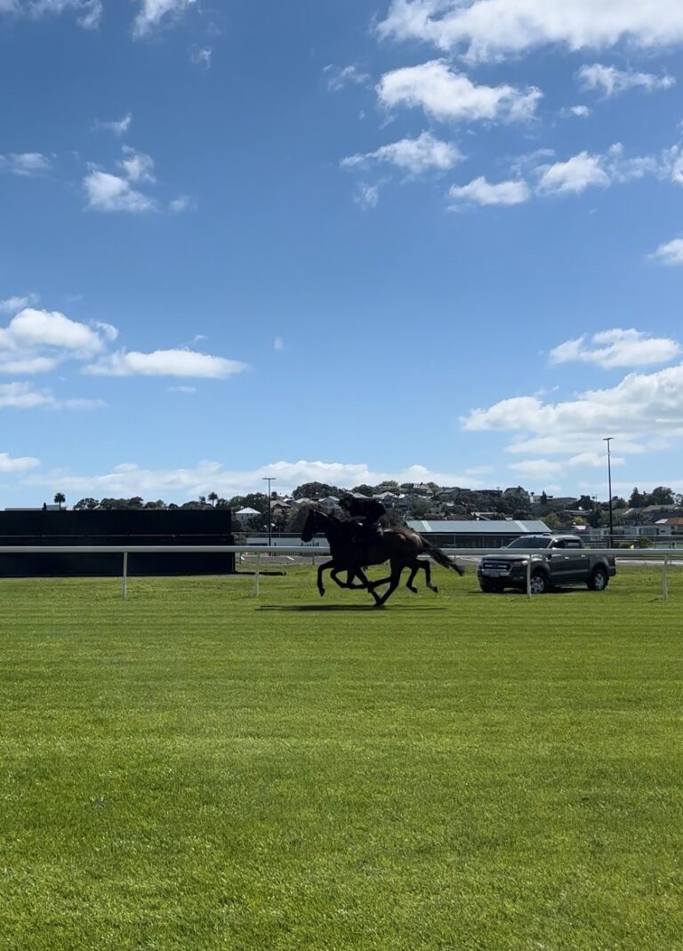 MEDIA RELEASE | Auckland Thoroughbred Racing welcomes horses back to ...