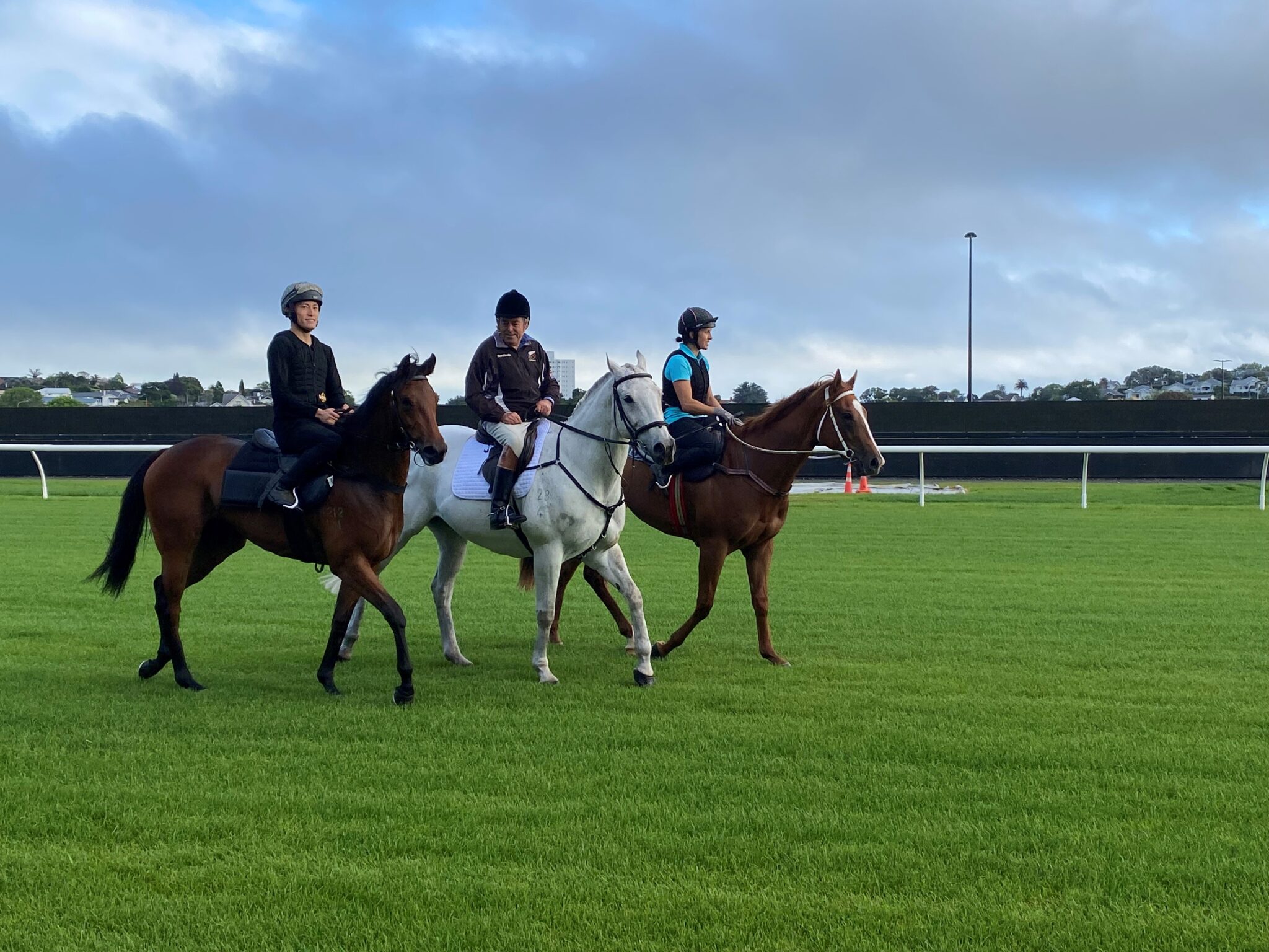 MEDIA RELEASE | Phase two of Ellerslie’s return to racing plan ...