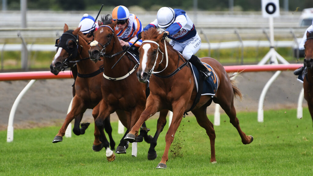 NEWS | Velocious makes bold statement in Challenge Stakes | Auckland ...