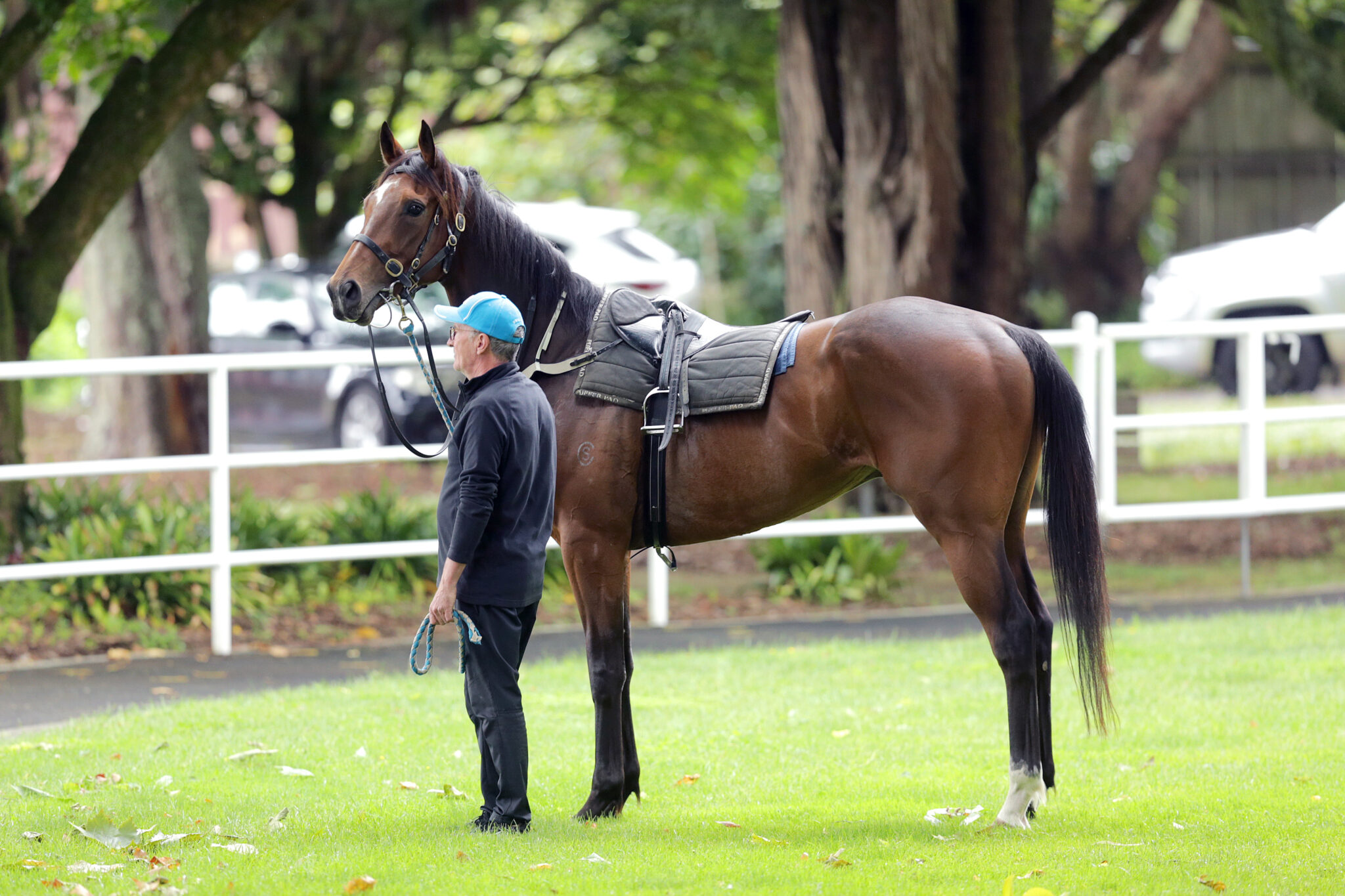MEDIA RELEASE | Phase three of Ellerslie’s return to racing plan ...