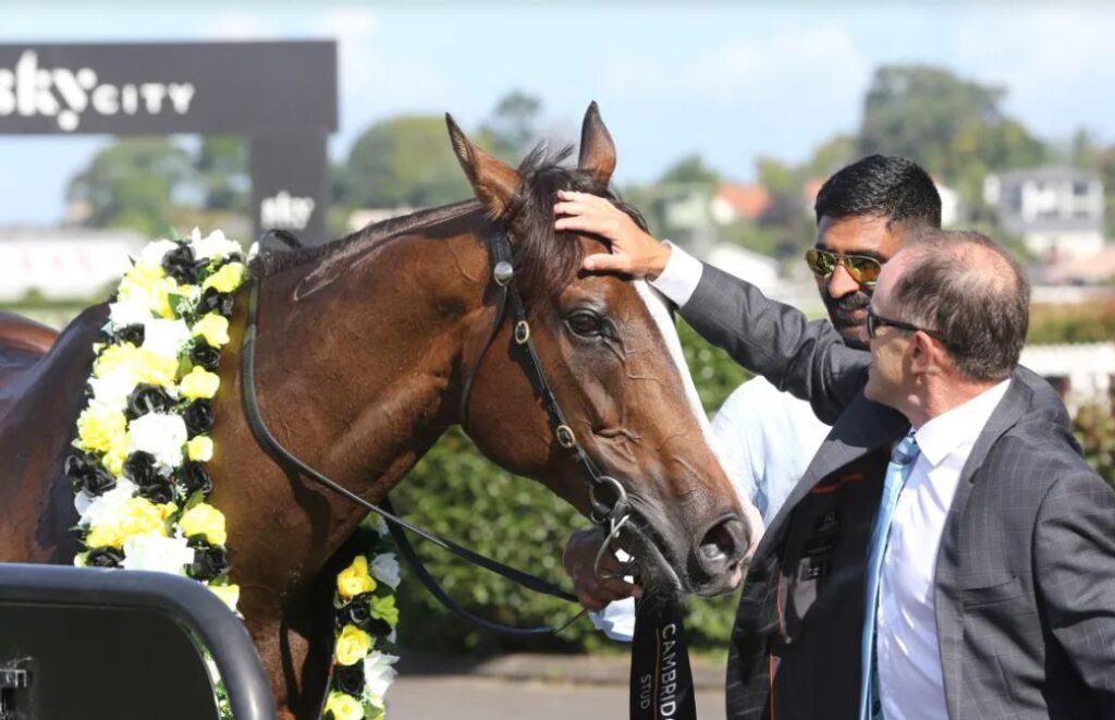 Celebrating the Boxing Day Races: Group 1 glory for Graham | Auckland ...