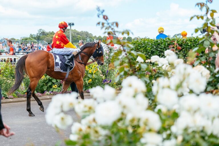What to wear to the Boxing Day Races at Pukekohe Park | Auckland ...