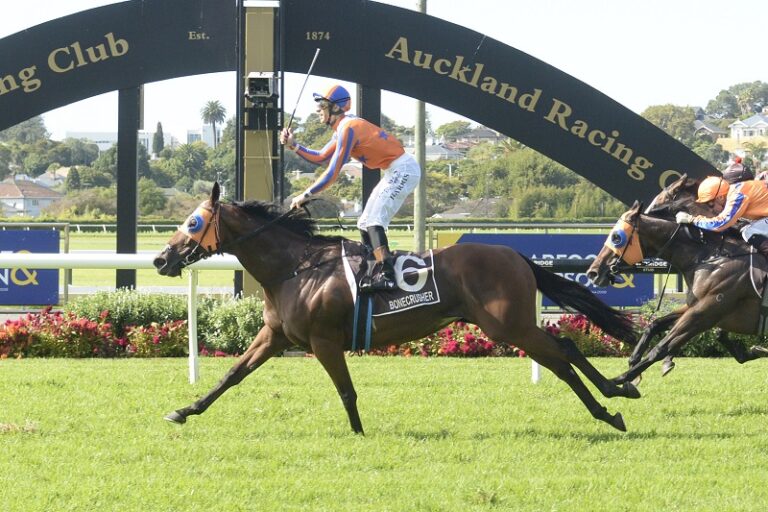 Winners | Ellerslie Awards - 2020/21 season | Auckland Thoroughbred Racing