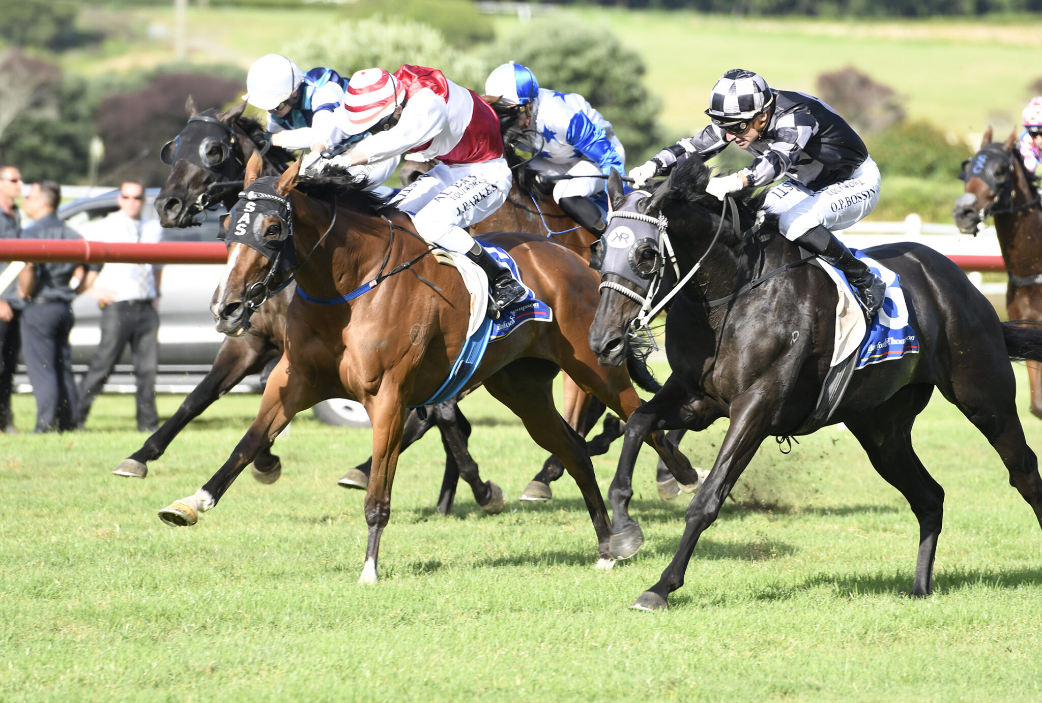 CELEBRATING THE AUCKLAND CUP | We chat to Auckland Cup pros, the O ...