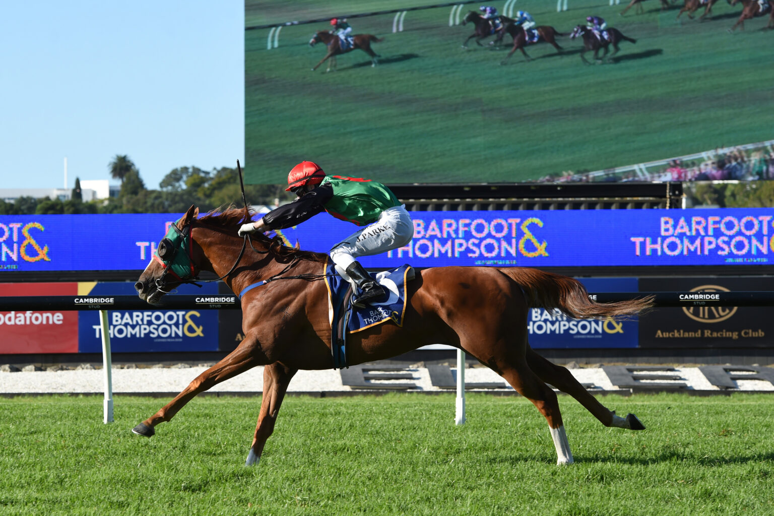 Celebrating Auckland Cup Week | What does the Auckland Cup mean to you ...