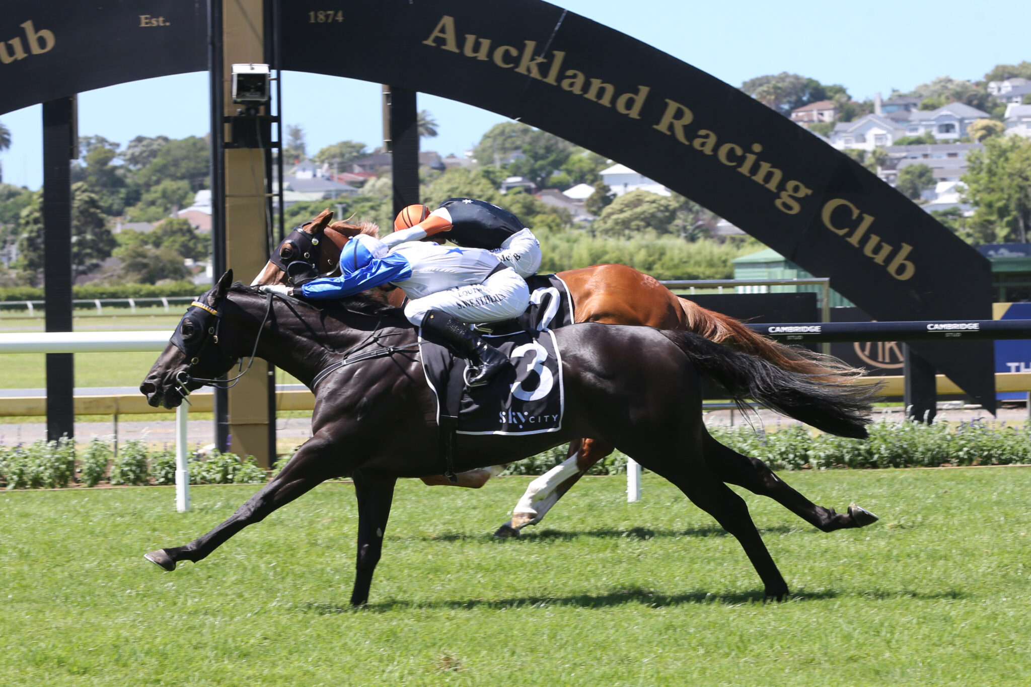 Celebrating Auckland Cup Week® | O'Sullivan + Derby = Success ...