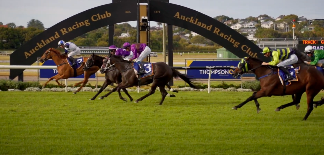 WATCH | Barfoot & Thompson Auckland Cup Day 2020 - Highlights from the ...