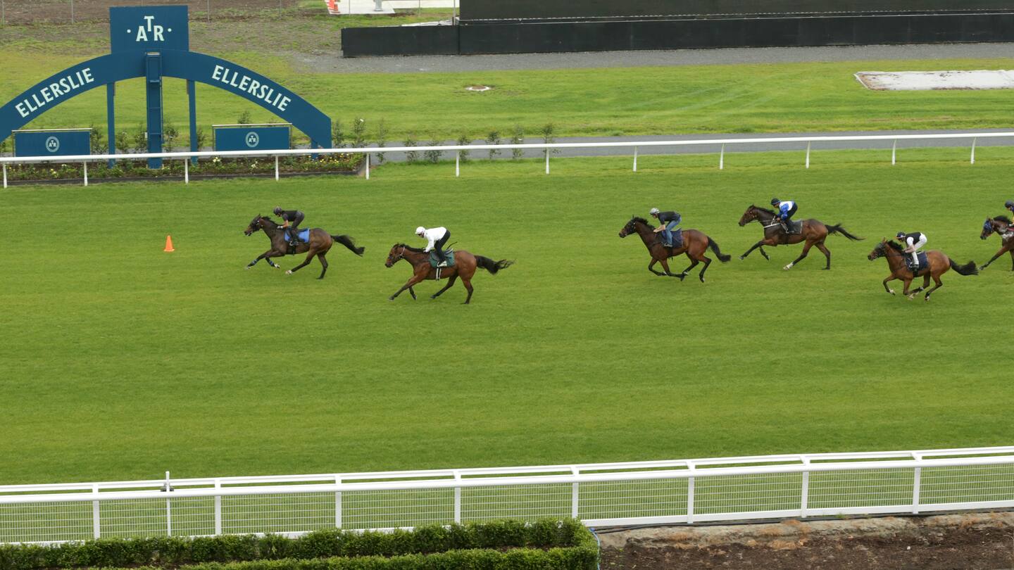News & Articles | Auckland Thoroughbred Racing