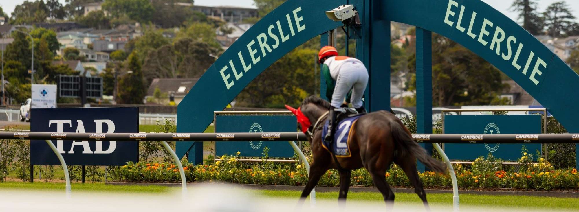 Ellerslie | Auckland Thoroughbred Racing