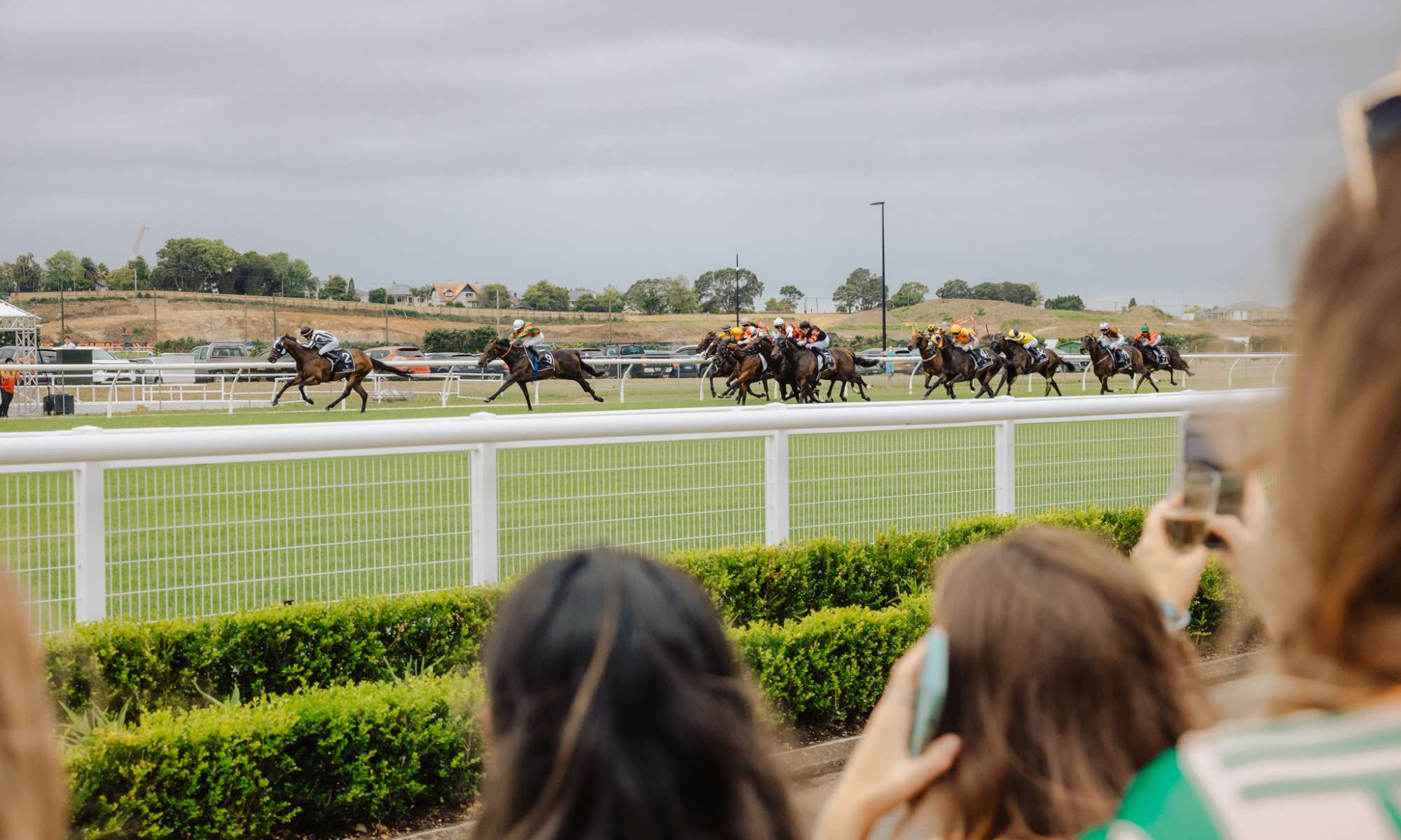 Auckland Thoroughbred Racing | Ellerslie & Pukekohe Park