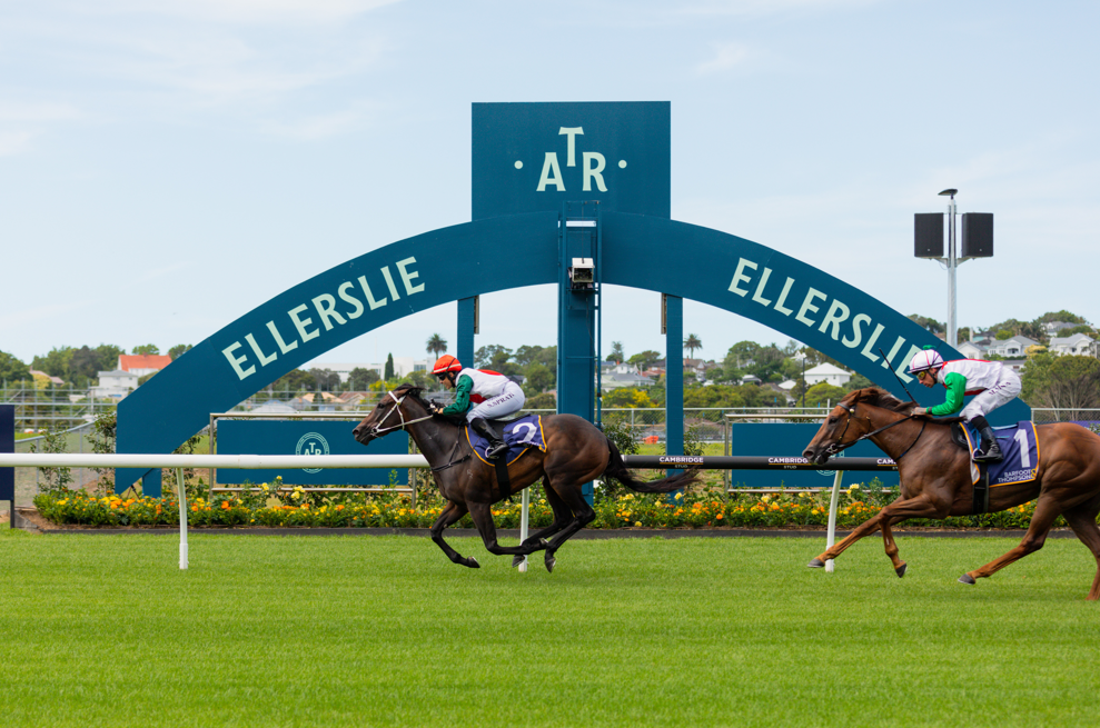 Ellerslie | Auckland Thoroughbred Racing