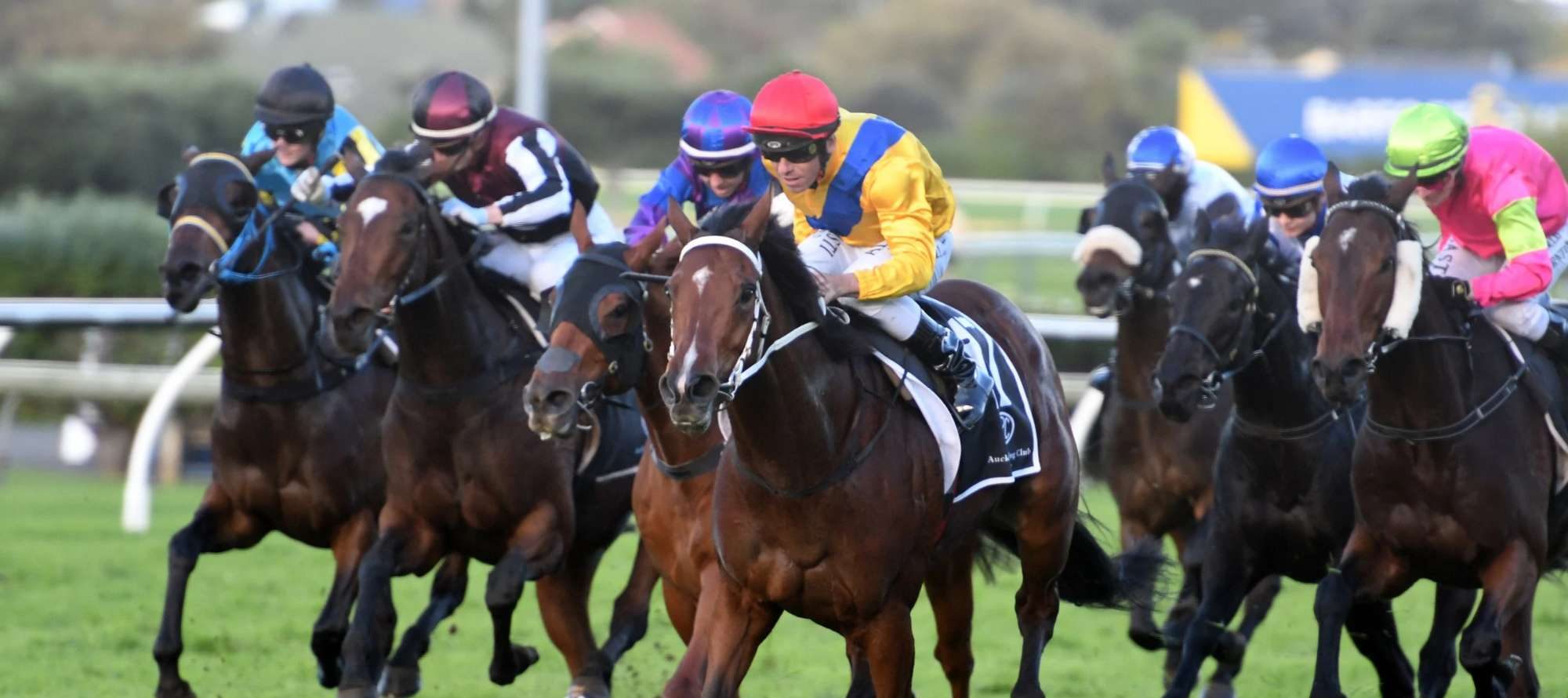 Auckland Thoroughbred Racing | Ellerslie & Pukekohe Park