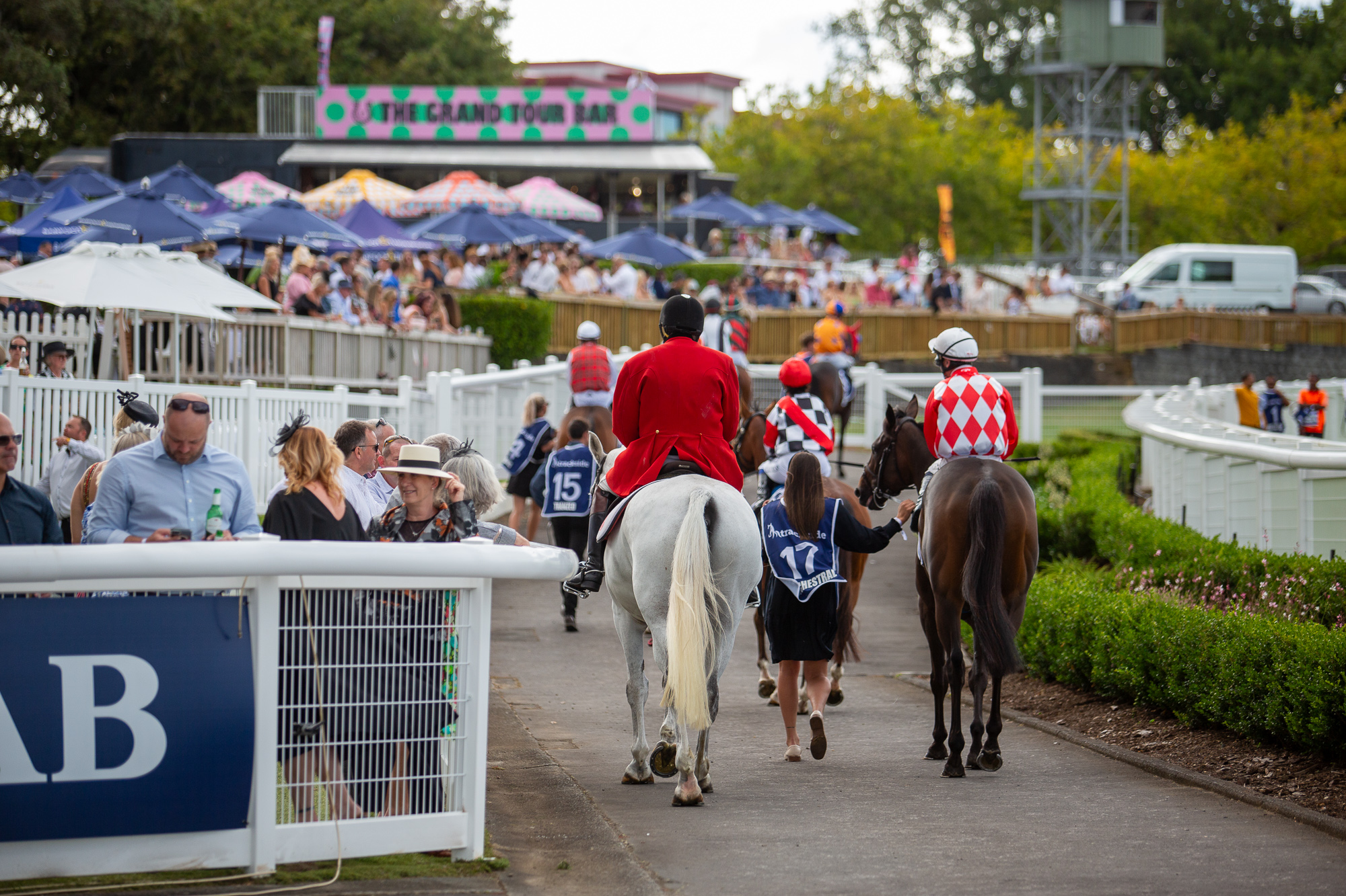 Auckland Thoroughbred Racing | Ellerslie & Pukekohe Park