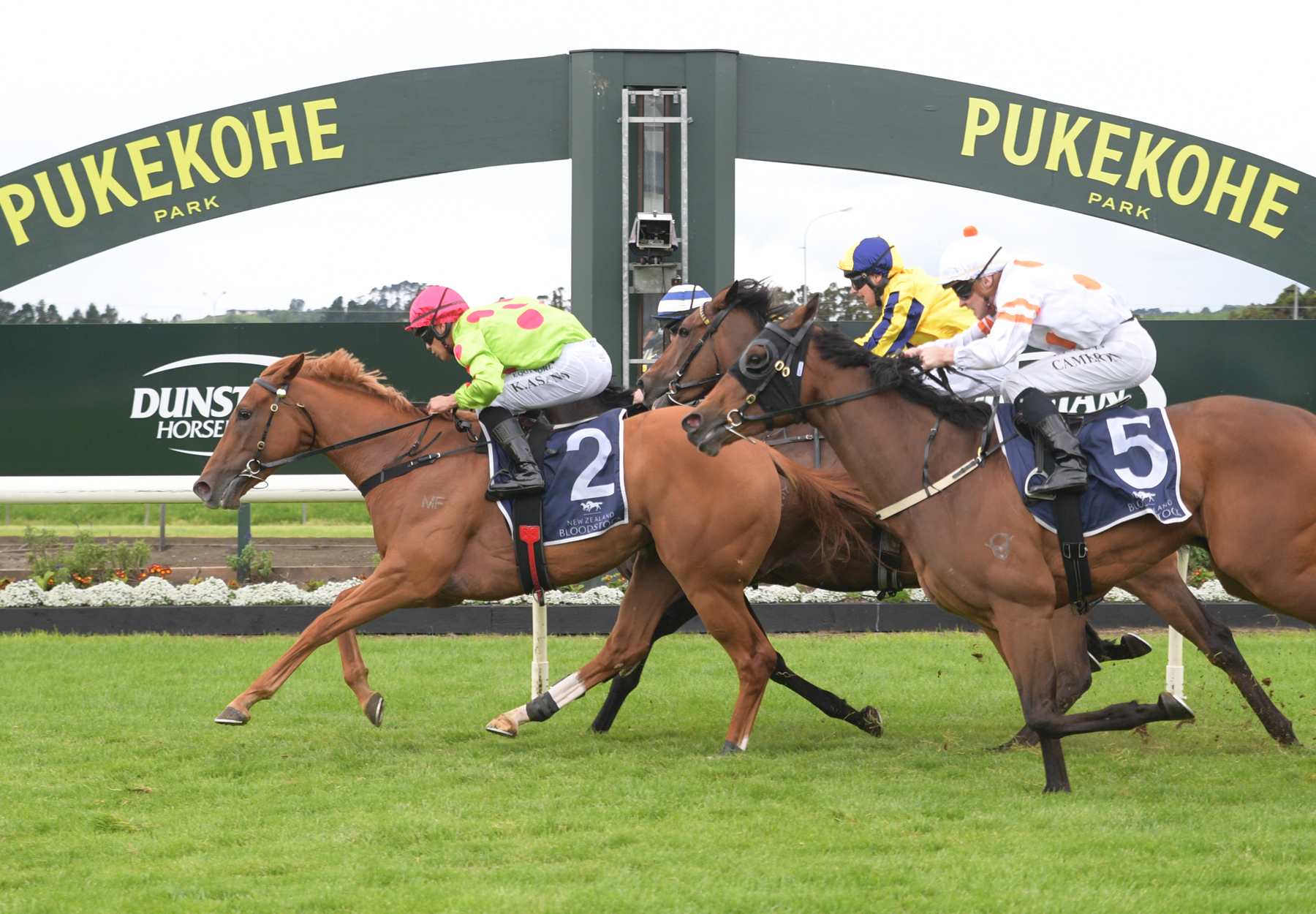 Racedays & Events | Auckland Thoroughbred Racing