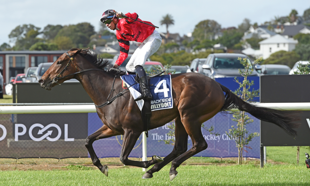 Sectional Times | Auckland Thoroughbred Racing
